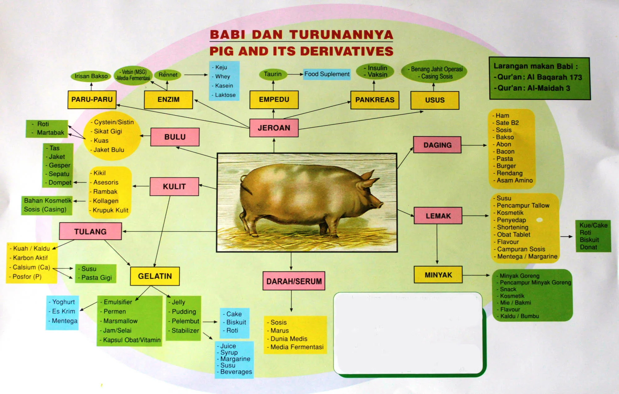 Ini Daftar Sebutan Babi di Berbagai Produk Makanan, Umat Islam Wajib ...